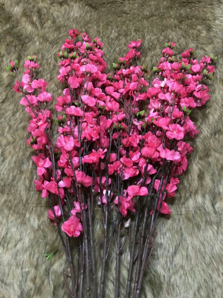 Cành đào đông trang trí 1 mét